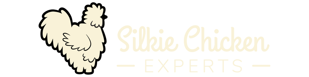 Guide to Black Silkie Chicken - Silkie Chicken Experts
